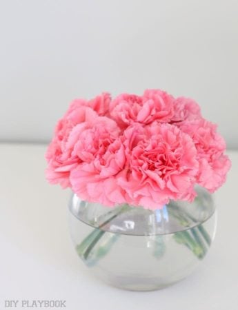 How to Decorate with Carnations: Tutorial | DIY Playbook