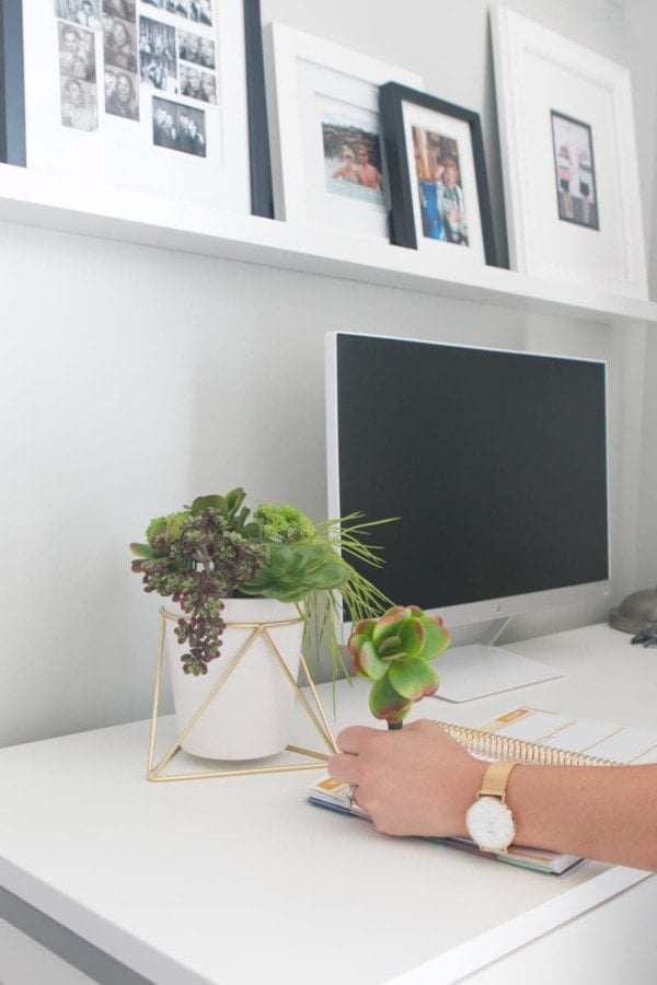 Succulent Pens DIY Office Decor Project | DIY Playbook