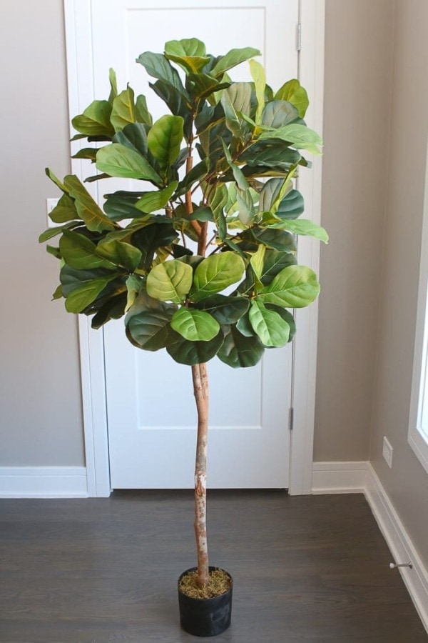 How to Make Your Faux Fiddle Leaf Fig Plant Look Real | DIY Playbook