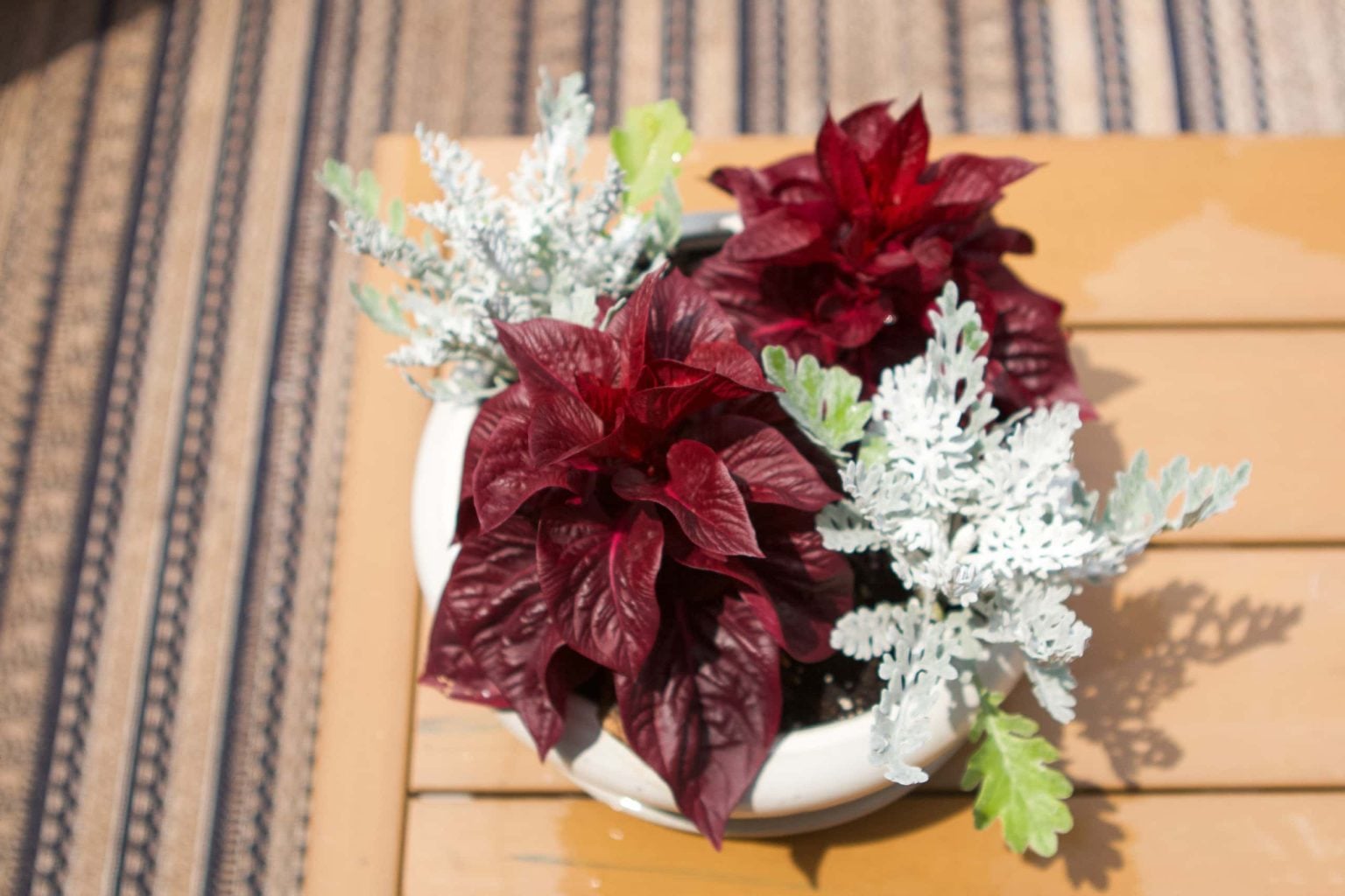 How to Plant Flowers in a Pot or Planter | The DIY Playbook