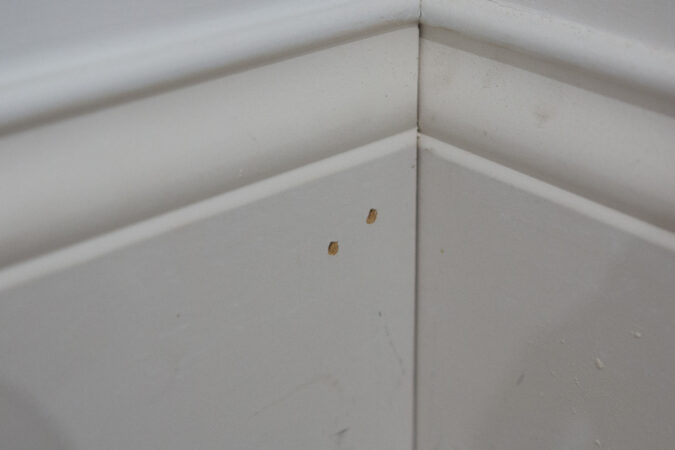My Best Caulking Tips + Basement Progress | The DIY Playbook