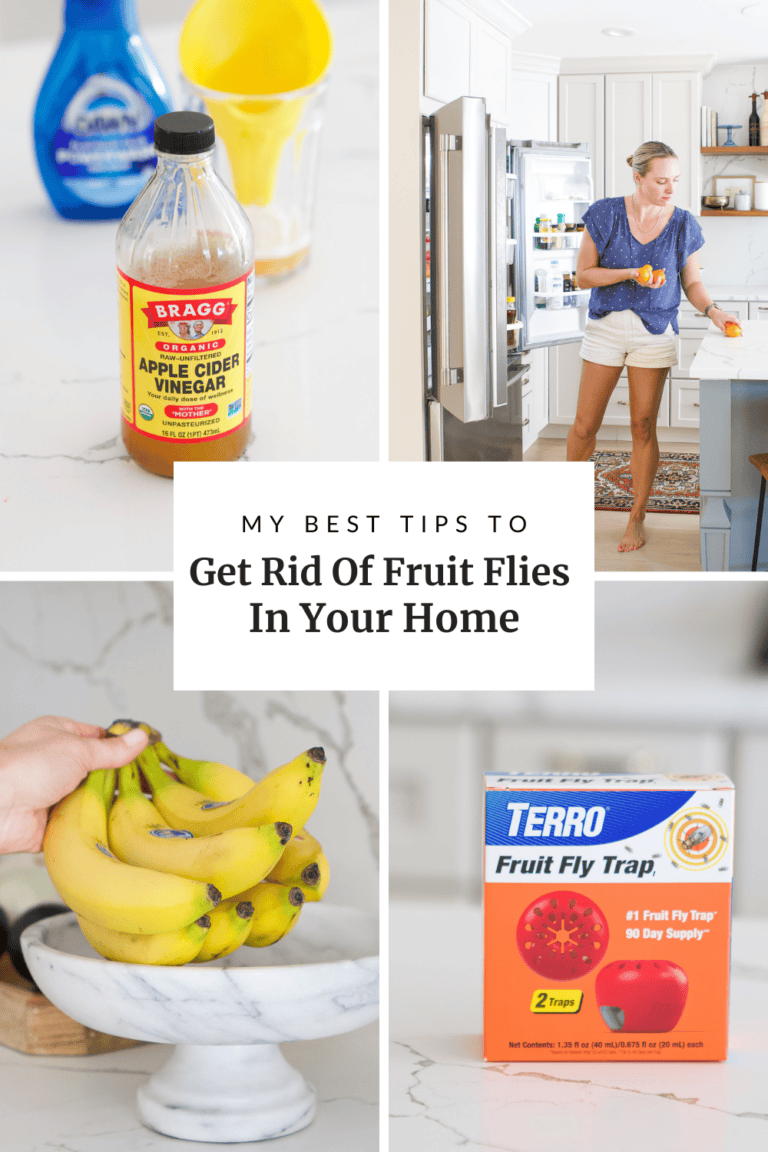 How To Get Rid of Fruit Flies In Your Kitchen (DIY Tips)