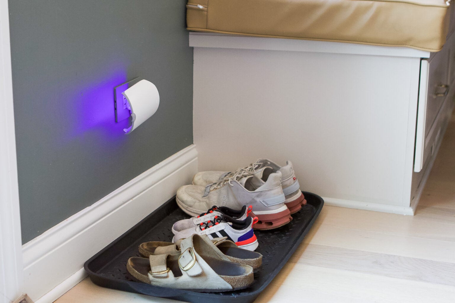 How To Get Rid of Fruit Flies In Your Kitchen (DIY Tips)