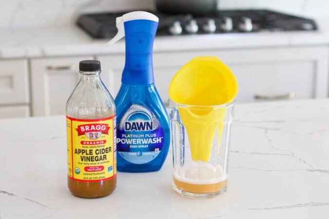 How To Get Rid of Fruit Flies In Your Kitchen (DIY Tips)