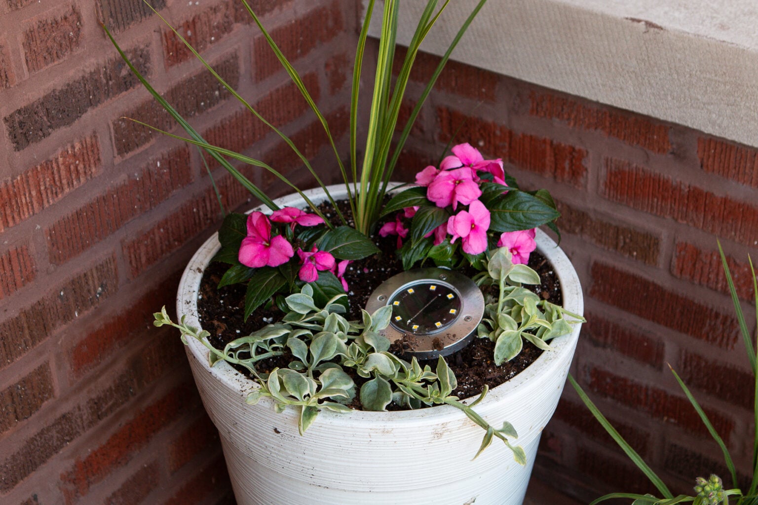 Summer Flower Planter Ideas for Full Sun and Shade - DIY Playbook