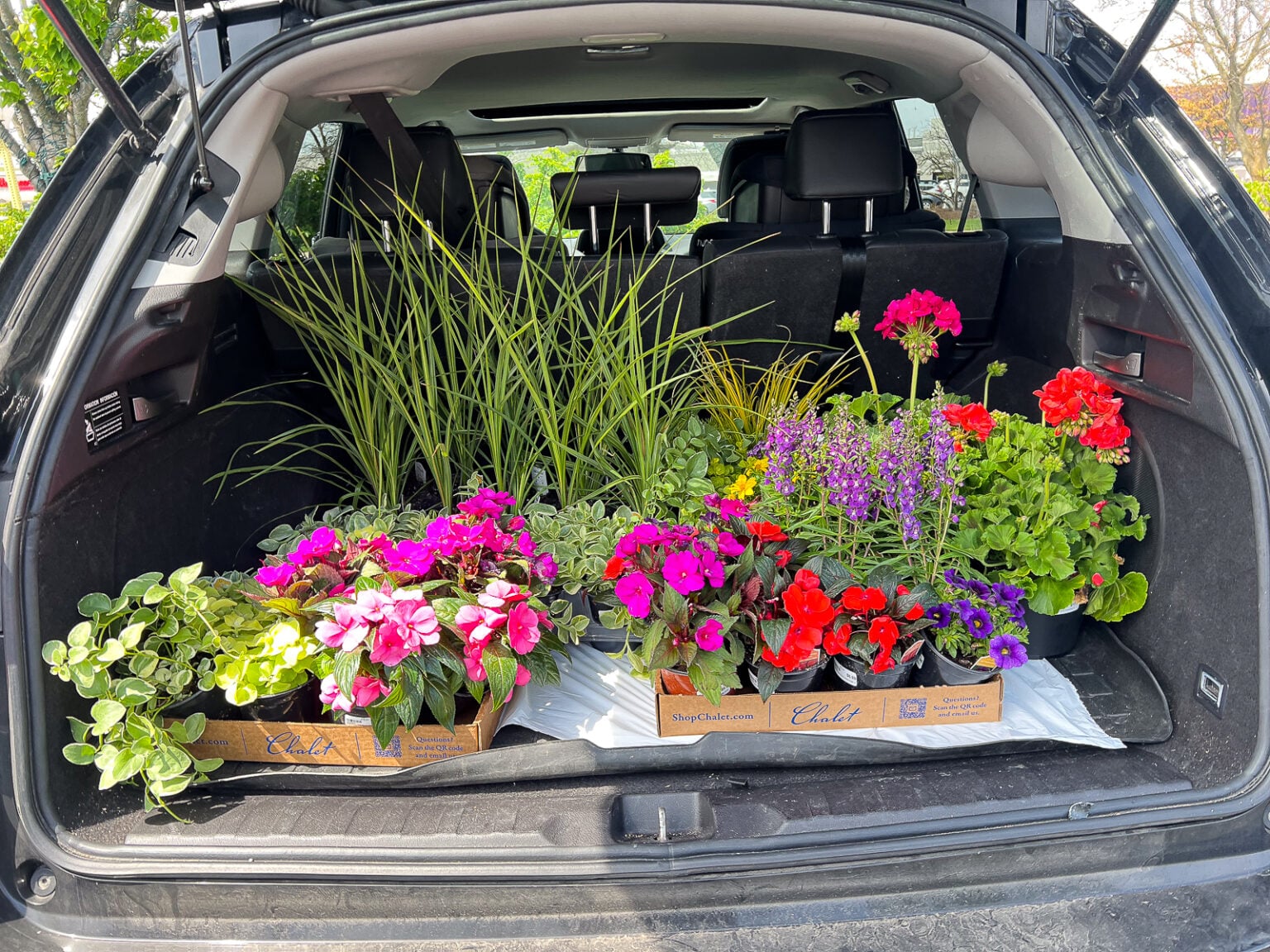 Summer Flower Planter Ideas for Full Sun and Shade - DIY Playbook