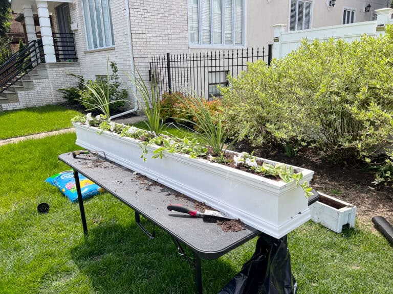 Summer Flower Planter Ideas for Full Sun and Shade - DIY Playbook